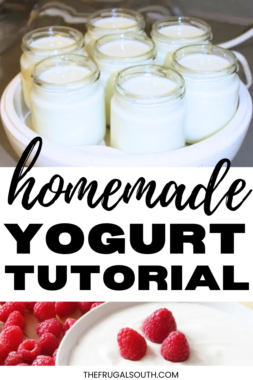 How to Make Homemade Yogurt - The Frugal South