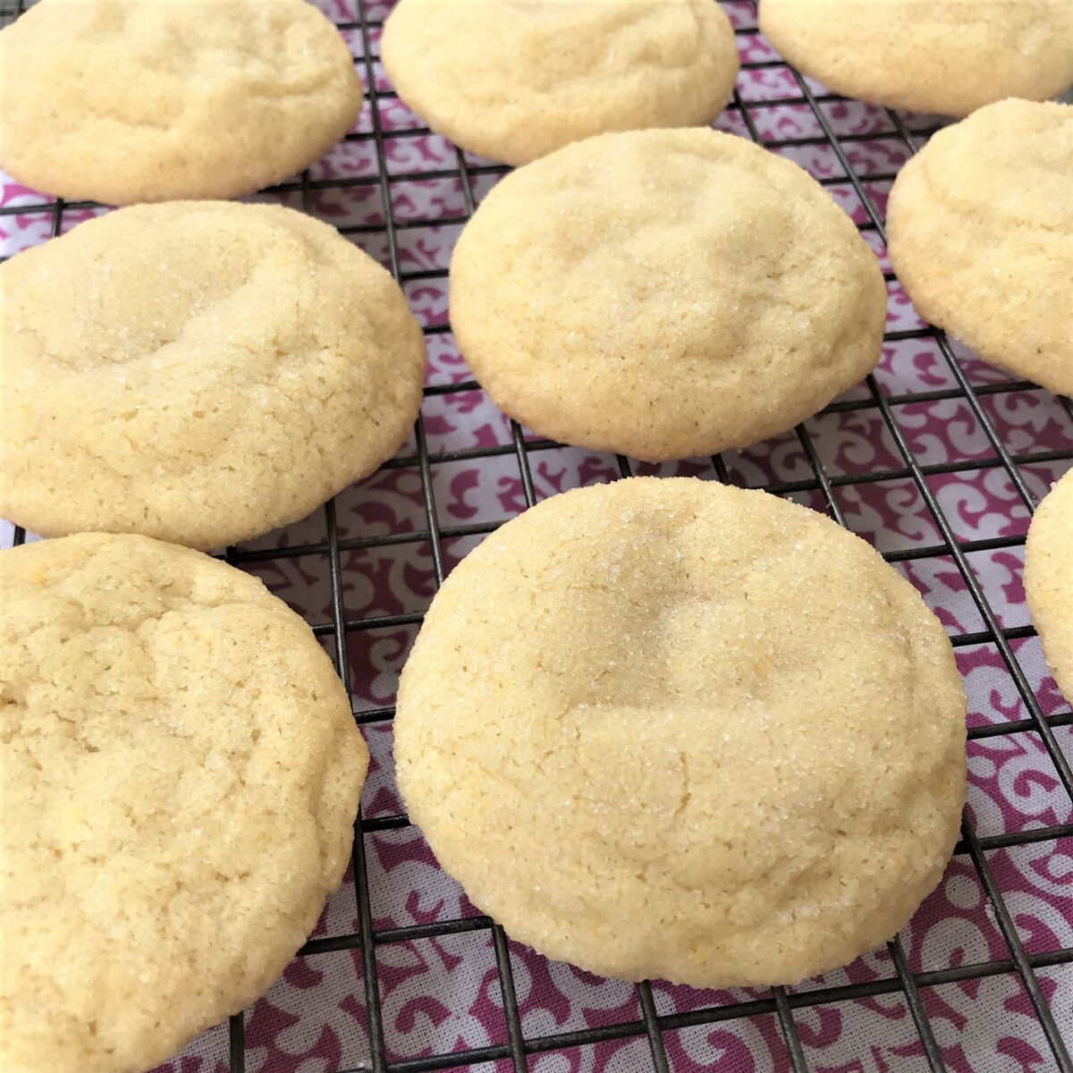 Easy No Butter Chocolate Chip Cookies - The Frugal South