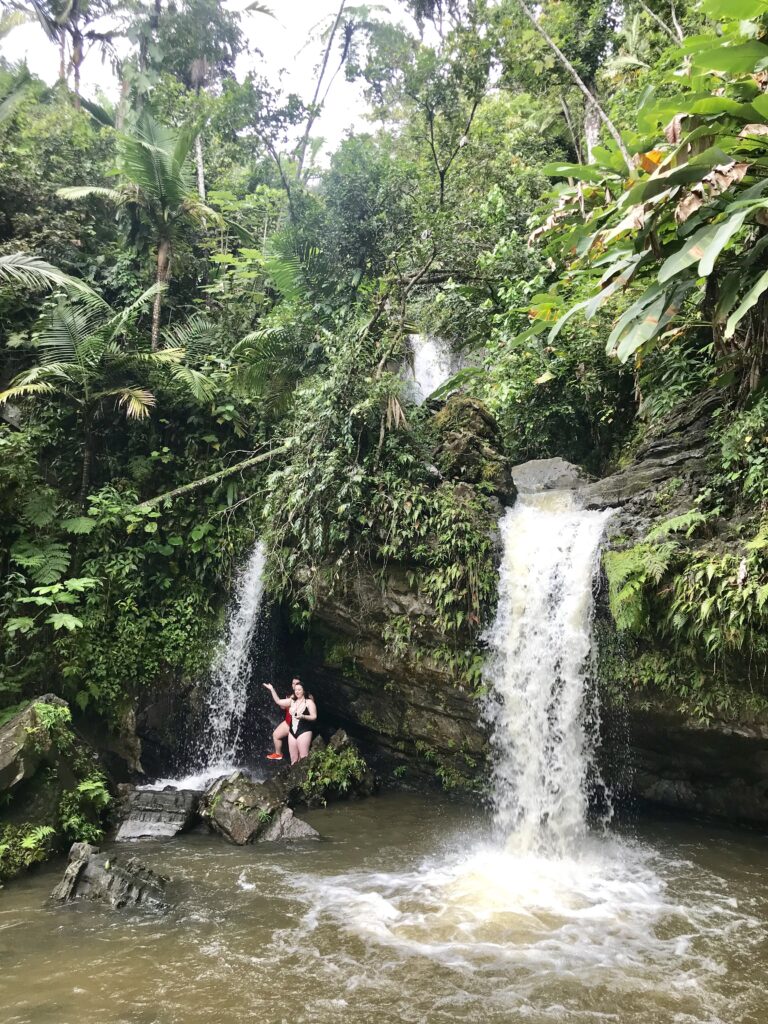 Things To Do in El Yunque Rainforest Puerto Rico - The Frugal South