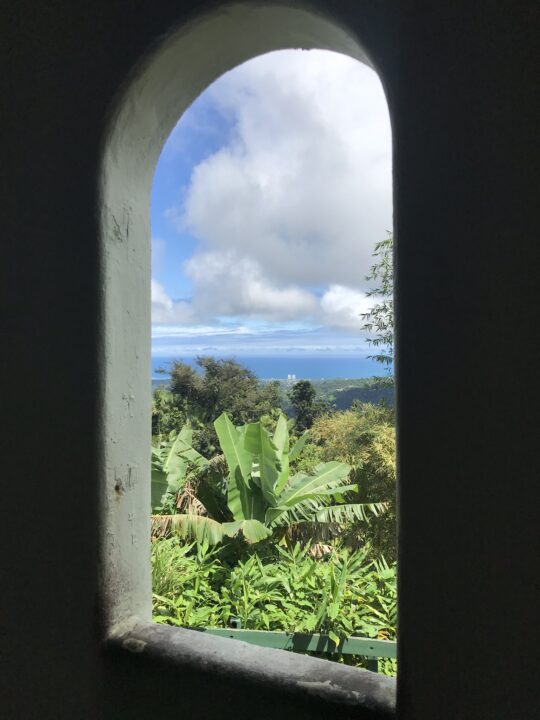 Things To Do in El Yunque Rainforest Puerto Rico - The Frugal South