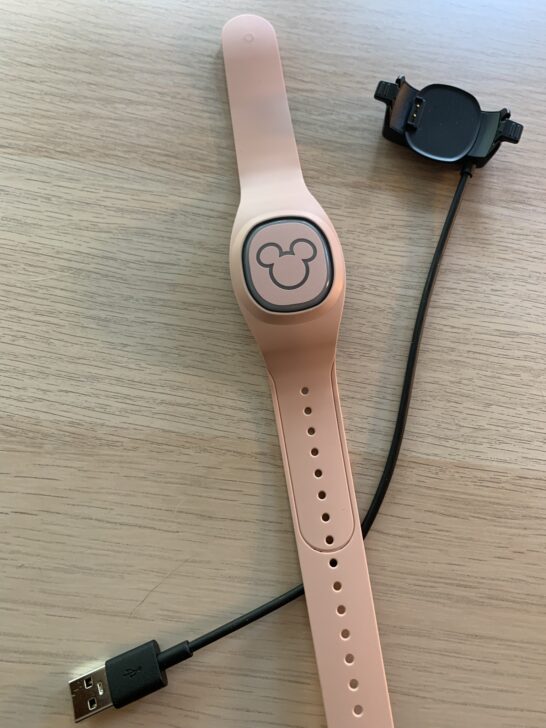 Disney Magic Bands: Tips, Tricks, and Everything You Need to Know