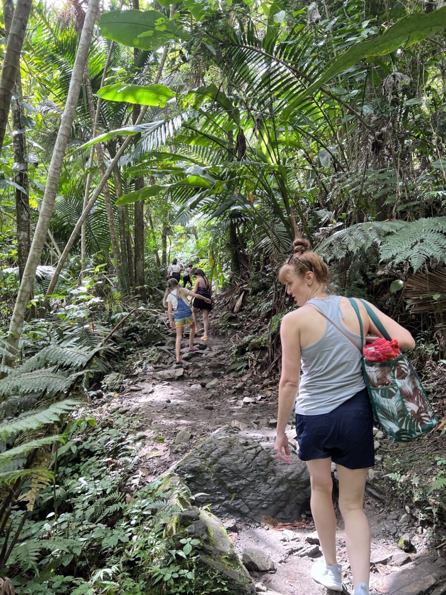 Things To Do in El Yunque Rainforest Puerto Rico - The Frugal South